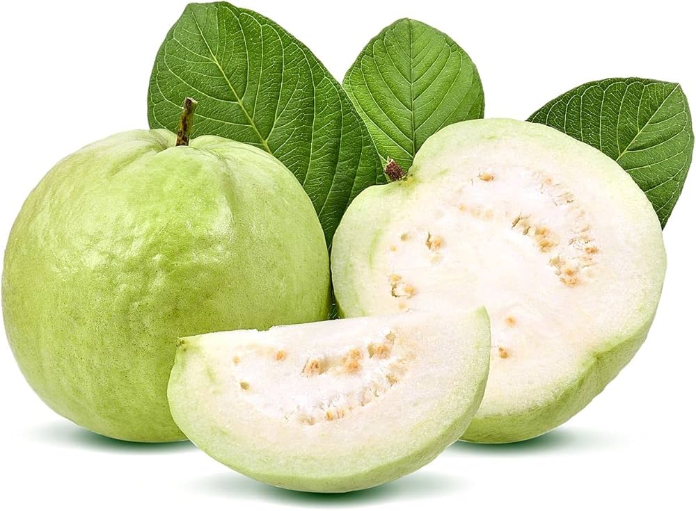 Exploring the Wonders of White Guavas: A Tropical Delight – Seeds Plant World