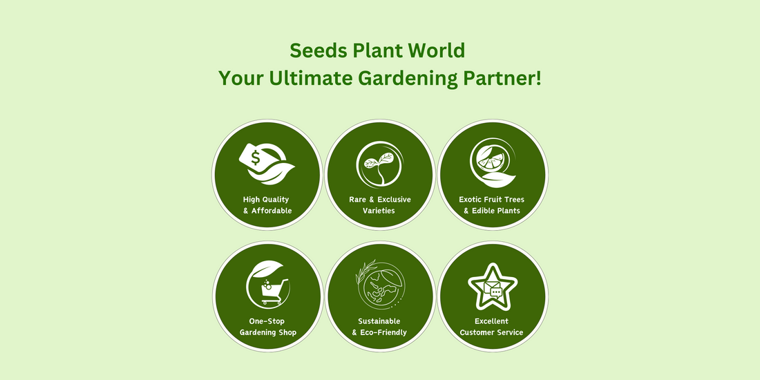 Seeds, Flower Plant and Fruit Tree Shop – Seeds Plant World